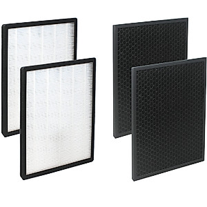 Fette Filter -HSP001 Filter Replacements for HATHASPACE Air Purifier HSP001, True HEPA Filter with Activated Carbon Pre-Filters. Includes 2 H13 True Hepa FIlters and 2 Activated Carbon Filters.