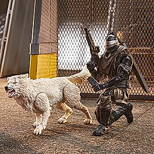 G. I. Joe Wolf Classified Series Snake Eyes & Timber Action Figures 52 Collectible Premium Toys, 6-Inch Scale, Custom Package Art, F4321