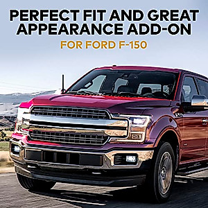 Antenna Mast for Ford F150 (2009-2023) | Highly Durable Premium Truck Antenna 6 3/4 Inch | Car Wash-Proof Radio Antenna for FM AM | Black, Automotive Antenna Replacement for Cars | F-150 Accessories