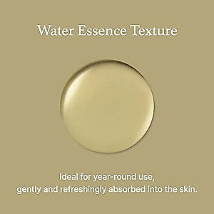 [I'm From] Mugwort Essence 5.4 Fl Oz | 100% Vegan Mugwort Extract - Soothe Sensitive and Irritated Skin, Redness Relief, Refreshing, Korean Hydrating toner | All Skin Types, PETA approved