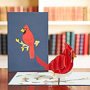 Lovepop Cardinal Pop Up Card, 5x7-3D Greeting Card, Animal Card for Every Occasion - Birthday, Sympathy, Anniversary, Thinking of You