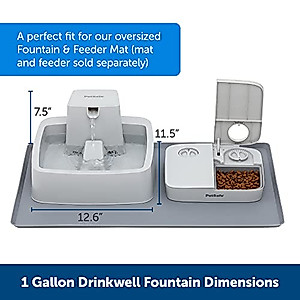 PetSafe Drinkwell Cat Water Fountain - Automatic Dog Water Bowl - Great for Multiple Pets - Pump and Water Filter Included - Dishwasher Safe - Easy Clean Pet Dish - Water Dispenser - 1 Gallon/128 oz