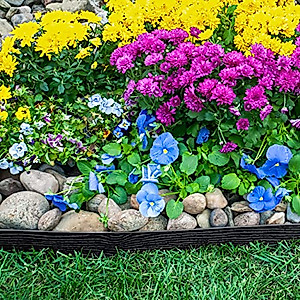 EasyFlex Tall Wall No-Dig Landscape Edging with Anchoring Spikes, 2.5 in. Tall Straight Top Plastic Garden Border with Woodgrain Texture, 40 Foot Kit, Black (3220E-40C)