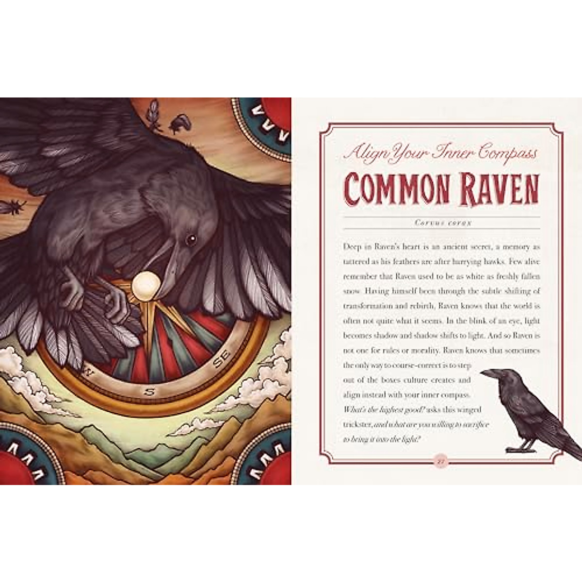 The Illustrated Bestiary: Guidance and Rituals from 36 Inspiring Animals (Wild Wisdom)