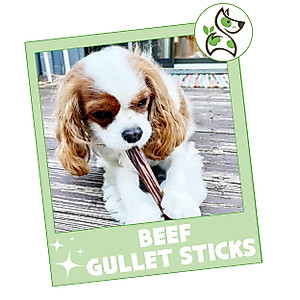 Nature Gnaws Beef Gullet Sticks for Dogs 5-6" (8oz) - Natural Beef Jerky Stick Dog Chew Treats - Rawhide Free