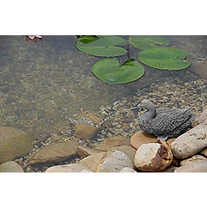 ECO-WORTHY Solar Fountain Water Pump Kit, 124 GPH Brushless Submersible Powered Pump with 5 W Solar Panel for Bird Bath, Small Pond, Garden Decoration, Pool, Patio, Lawn……