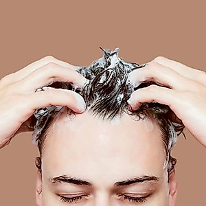 Baebody Argan Oil Conditioner for Damaged Hair, Nourishing Hair Conditioner for Women and Men, Moroccan Oil Conditioner for Hydrating Dry Hair, Sulfate-Free & Paraben-Free, 16 fl oz