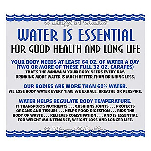 32 oz Insulated Cold Drink Hospital Mug with Blue Lid | Water Essential Travel Mug