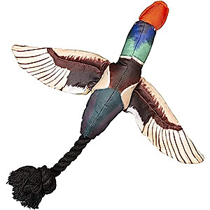 Spunky Pup, Fly & Fetch Duck (2041)