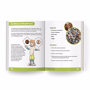 The Renal System: You've got to be Kidney - Adventure 4 (Systems of the Body)