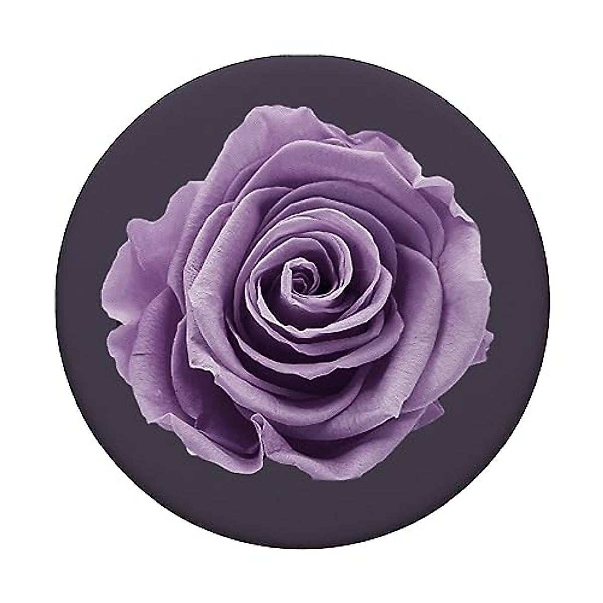 Rose in Purple Shade on Grey Background PopSockets Swappable PopGrip