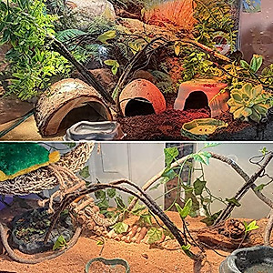 PINVNBY Bearded Dragon Hammock,Reptile Lizard Lounger Natural Seagrass Habitat Decoration Reptiles Tank Accessories Jungle Climber Vines Flexible Leaves Climbing Decor for Gecko Chameleon Snakes