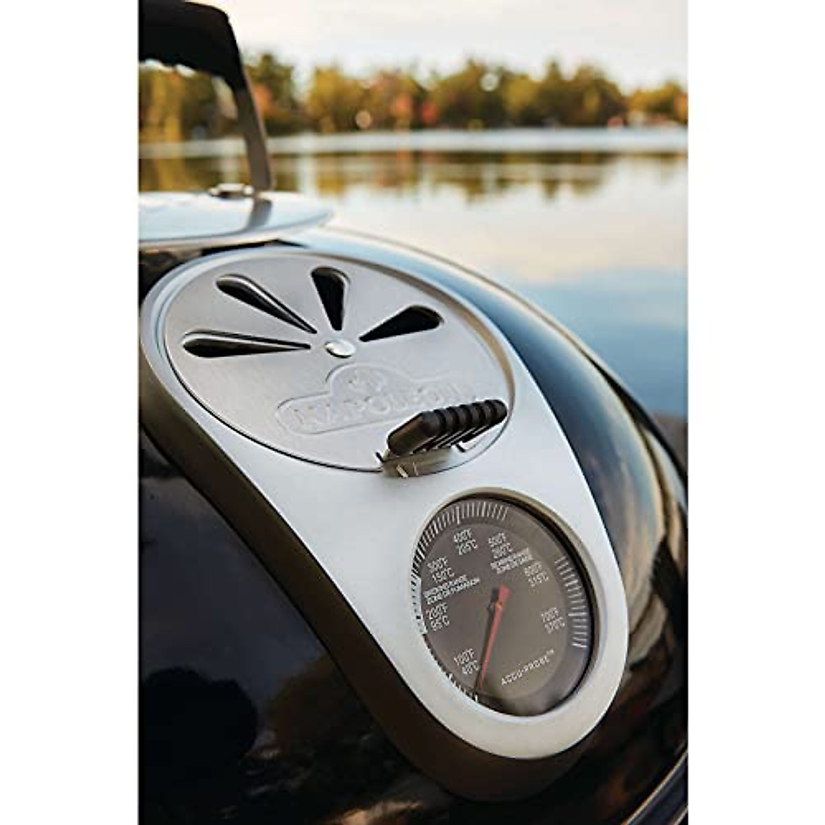 Napoleon NK22K-LEG-2 Built in Grills, Black