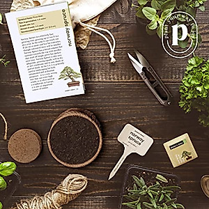 Bonsai Starter Kit - Gardening Gift for Women & Men - Bonsai Tree Growing Garden Crafts Hobby Kits for Adults, Unique DIY Hobbies for Plant Lovers - Unusual Christmas Gifts Ideas, or Gardener Mother