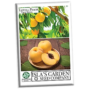 Lovell Peach Tree Seeds for Planting, (Prunus persica), 2 Heirloom Seeds Per Packet, (Isla's Garden Seeds), Non GMO Seeds, Great Home Garden Gift