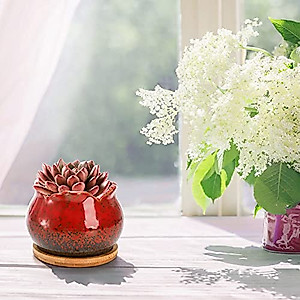 TOPZEA Set of 6 Succulent Plant Pot, 4 Inch Glazed Ceramic Plant Pots Cactus Succulent Pot with Drainage and Saucer, Mini Bonsai Planter Small Flower Pot for Indoor Outdoor