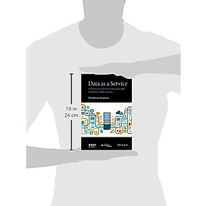 Data as a Service: A Framework for Providing Reusable Enterprise Data Services