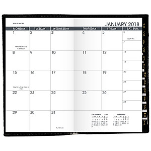 AT-A-GLANCE Monthly Planner, January 2018 - January 2019, 3-1/2" x 6-1/8", Black (7006405)