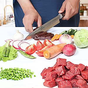 KN KNIFE NATION Sashimi Sushi Chef Knife 15 Inches for Kitchen - Ideal Chef Knife For Cutting, Filleting and Slicing Fish - Very sharp J2 Stainless Steel Blade With Elegant Color Wood Handle