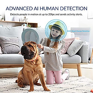 YI 2pc Pan-Tilt Dome Security Camera, 360 Degree 2.4G Smart Indoor Pet Dog Cat Cam with Night Vision, 2-Way Audio, Motion Detection, Phone APP, Compatible with Alexa and Google Assistant