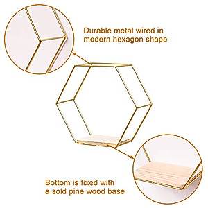 Morobor Wall Mounted Floating Hexagon Shelves,3pcs Different Sizes Metal Framed Gold Shelves with Wooden Floor for Wall Storage & Display in Modern Chic Style