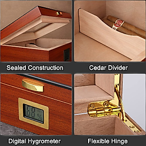 Bald Eagle Cedar Cigar Humidors with Digital Hygrometer, Handcrafted Cigar Box with Humidifier, Glass Top Humidor Box Luxury Cigar Case Sapele Cherry Finish Cigar Box (25-50 Cigars)