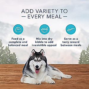 Blue Buffalo Wilderness High Protein, Natural Senior Wet Dog Food, Turkey & Chicken Grill 12.5-oz cans (Pack of 12)