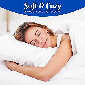 Infinitee Xclusives Premium Grey Queen Sheets Set - 4 Piece Bed Sheets - Soft Brushed Microfiber Fabric - 16 Inches Deep Pockets Sheets Wrinkle Free & Fade Resistant