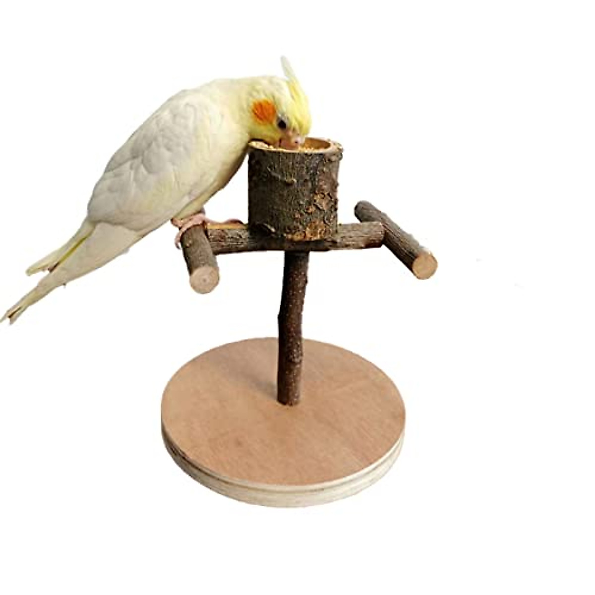 XLpeixin Bird Playground Parrot Playstand Birds Play Stand Wood Exercise Perch Gym Stand Hanging Swing Toys for Small Medium Parakeets Canaries Cockatiels Lovebirds and More…