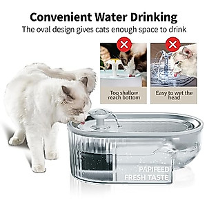 Premium Cat Water Fountain - 304 Stainless Steel Tray, Ultra-Quiet 5V Pump, Emergency Water Storage, 360 Degree Transparent Water Tank with Water Level Indicator, 84oz/2.5L, Oval Design, LED Light