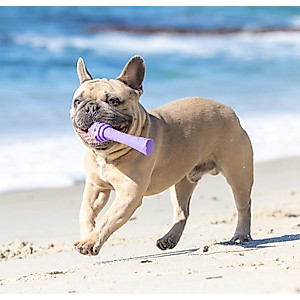 PROJECT HIVE ·PET COMPANY· - Calming Lavender Scented - Hive Dog Fetch Stick for Large Breeds - Dog Stick Toy - Floats in Water - Treat Dispenser Toy - Durable and Tough - Made in The USA