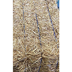 AA Plus Shop 100% Natural Wheat Straw Grass, Animal Bedding and Farm Wheat Straw (4LB)