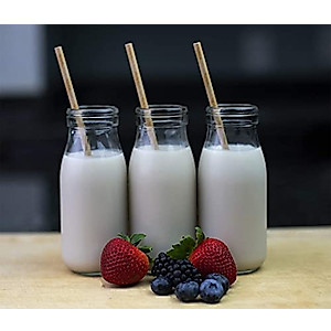 Anvil Traditional Healing Homemade Probiotic Kefir Starter Culture Kit - Non-GMO, Organic, Vegan, Pure & All Natural - High In dose, Grow your own probiotic | Produces 12 Quarts/3 Gallons Per Pack