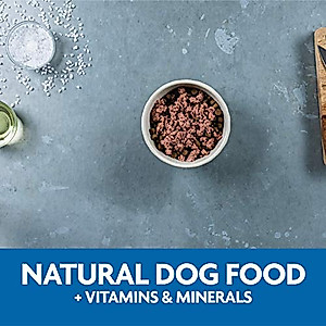 Evolve Pet Food Classic Crafted Meals Chicken Recipe Dog Food, 3.5 Ounce (Pack of 15)