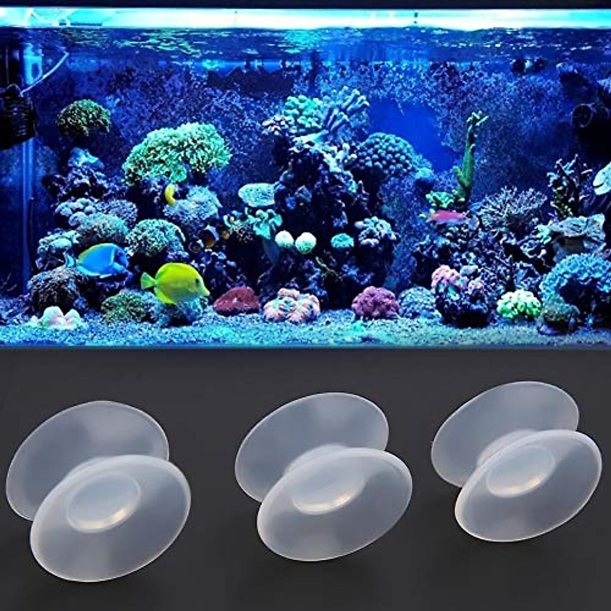 10pcs Double Sided Suction Cup, Transparent Silicone Gel Glass Fish Tank Aquarium Suction Cup Double Sided Suction Cups