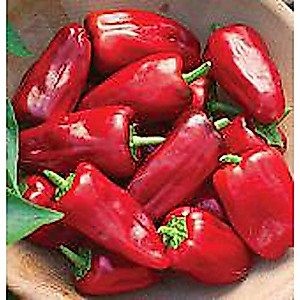 Sweet Heat Sweet Peppers Seeds (20+ Seeds) | Non GMO | Vegetable Fruit Herb Flower Seeds for Planting | Home Garden Greenhouse Pack