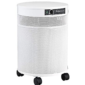 AIRPURA C600DLX AIR PURIFIER HELPS TO ELEMINATE SPECIFIC AIRBORNE PARTICLES INCLUDING VOLATILE ORGANIC COMPOUNDS,IMPROVE AIR QUALITY