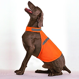 Dog Jacket High Visibility Safety Reflective Dog Vest for Small Medium Large Dogs (Large, Orange)