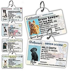 Driver License Custom Dog Tag for Pets and Wallet Card - Dog Tags for Dogs - Dog ID Tag - Personalized Dog ID Tags - Cat ID Tags - Pet ID Tags for Cats - Personalized Pet ID Tags (California, Tag)