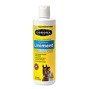 Manna Pro 1000193 62620 Corona Topical Analgesic Veterinary Liniment, 16 Ounces