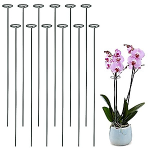 GROWNEER 12 Packs 36 Inches Garden Flower Support Plant Support Stakes, with 15 Pcs Plant Labels, Single Plant Stem Flower Support for Flowers, Orchid, Peony, Lily, Rose