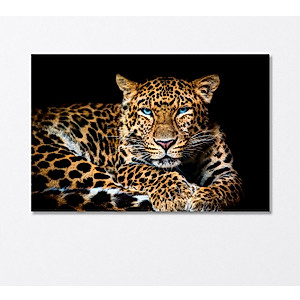 Northern Chinese Leopard with Extraordinary Blue Eyes Canvas Print 5 Panels / 36x24 inches