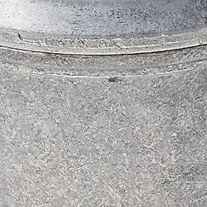 Little Giant 1-YS 1/150 HP, 205 GPH , 230 Volt Parts Washer Pump, with 6-Ft. Cord No Plug, Grey, 501036