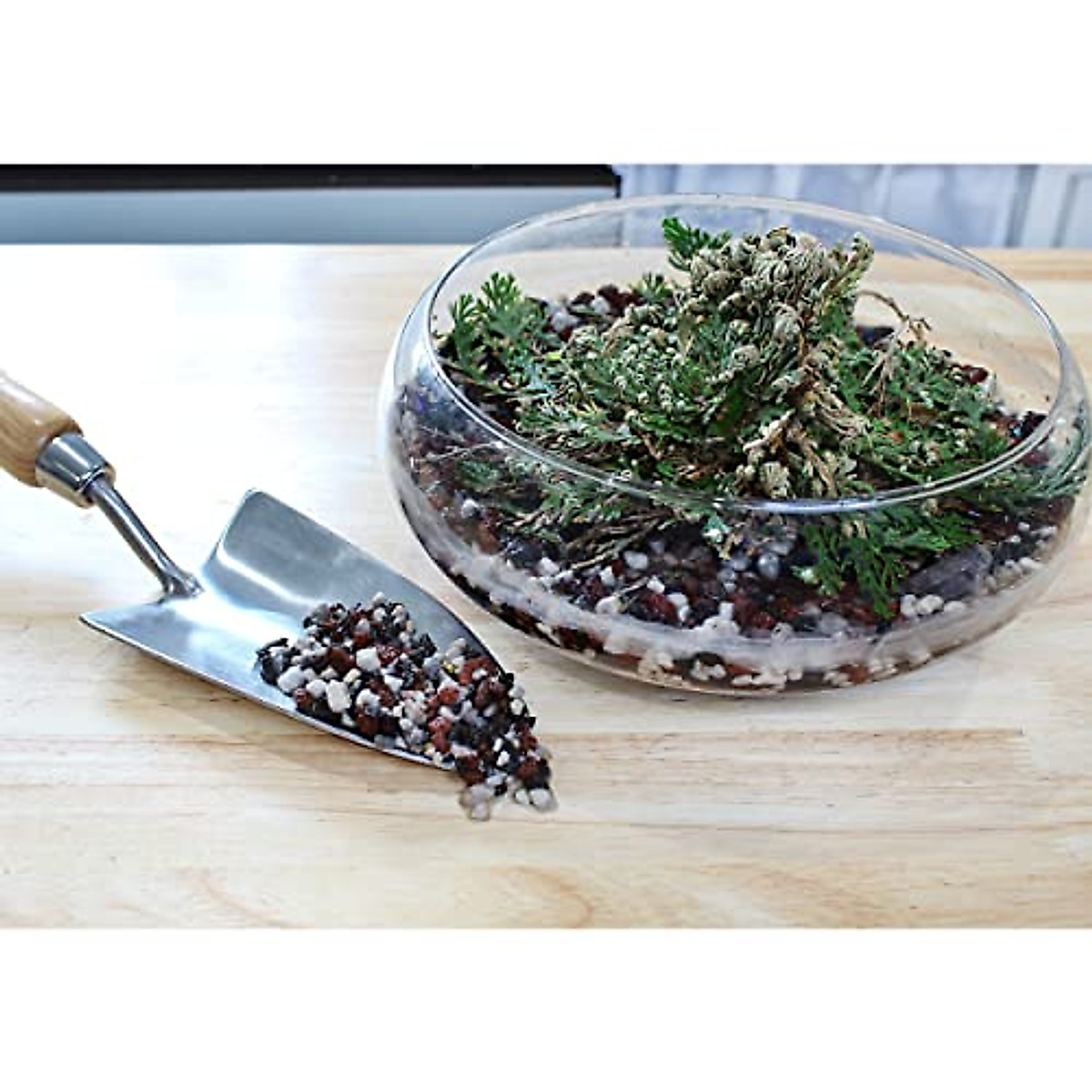 Rose of Jericho Planting Stones (2 Quarts), Soilless Potting Mix for Planting Resurrection Plants in Water