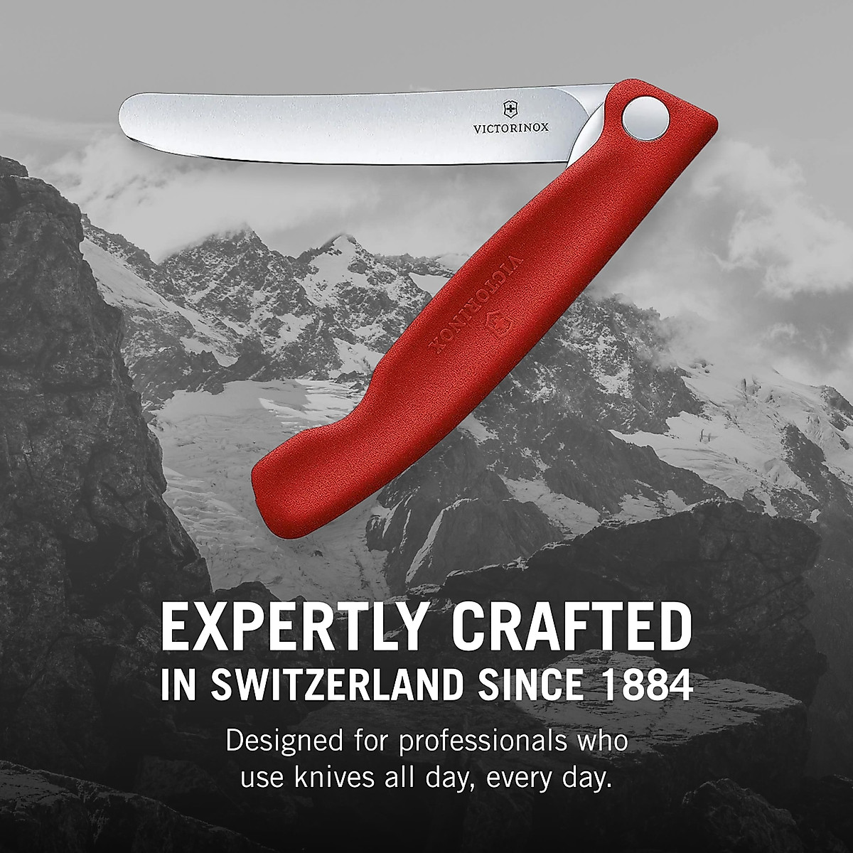 Victorinox Swiss Classic Foldable Paring Knife, Straight Edge Red 4.3 in