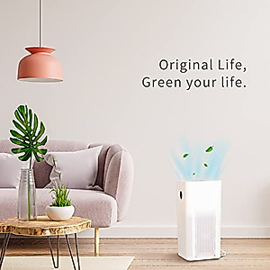 Originallife Ultra Washable Reusable Air Purifier Filter Compatible with Holmes HAPF30AT, Replace Hepa Filter, Activated Carbon Filter