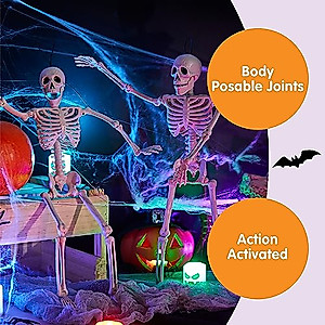 JOYIN 2 PCS 16 Inches Halloween Skeletons Full Body Posable Joints Skeletons for Halloween Graveyard Decorations, Haunted House Accessories