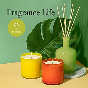 LAFCO New York Signature Reed Diffuser, Rosemary Eucalyptus - 15 oz - Up to 9 Months Fragrance Life - Reusable, Hand Blown Glass Vessel - Natural Wood Reeds - Made in The USA
