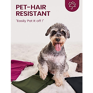 CRZ YOGA Women's Naked Feeling Biker Shorts - 6 Inches High Waist Yoga Workout Running Gym Spandex Shorts Black Medium