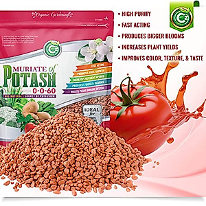 Muriate of Potash 0-0-60 Fertilizer Made in USA - MOP Potassium Plant Food for Indoor/Outdoor Plants & Organic Gardens – Promotes Big Blooms! Fruit, Vegetables, Holistic Herbs, Trees